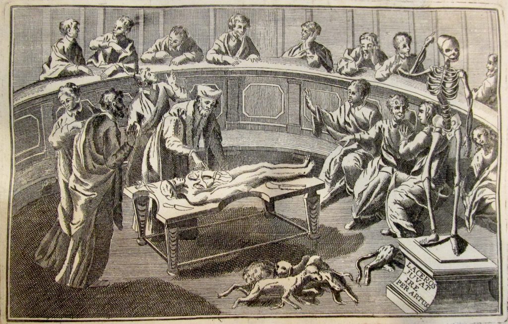 Anatomizing Thomas Rowlandson’s representation of William Hunter’s ...